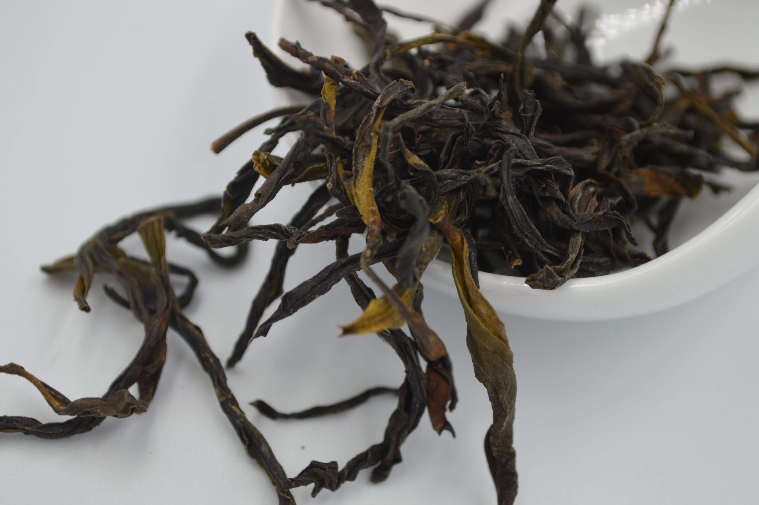 Phoenix Single Bush Honey Orchid - Mi Lan - 2021 Spring Guangdong ...